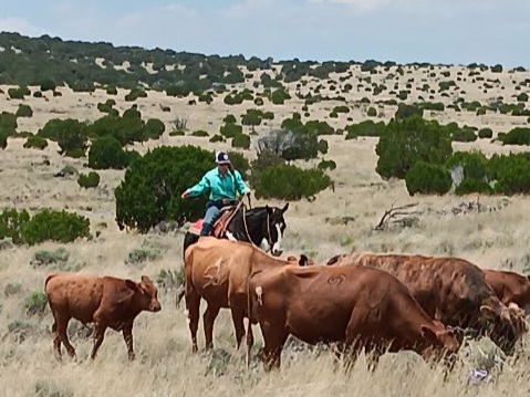 Charity Ann Saulsberry - NASDA